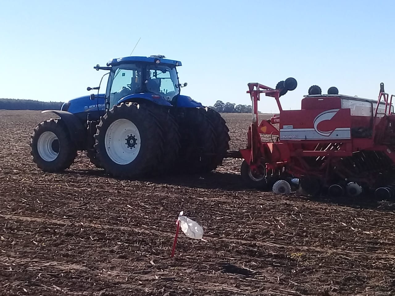 Positiva marcha del sembrado de cultivos de fina en el distrito – Ecos ...