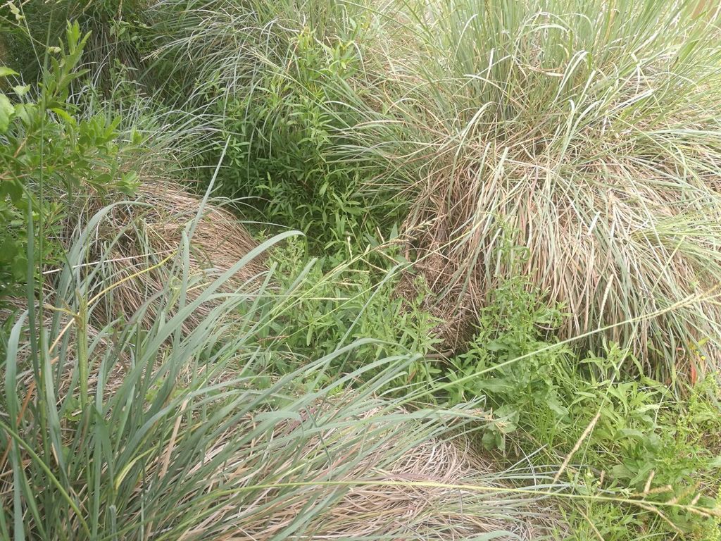 Ecos Diarios Necochea | El único diario de la ciudad.