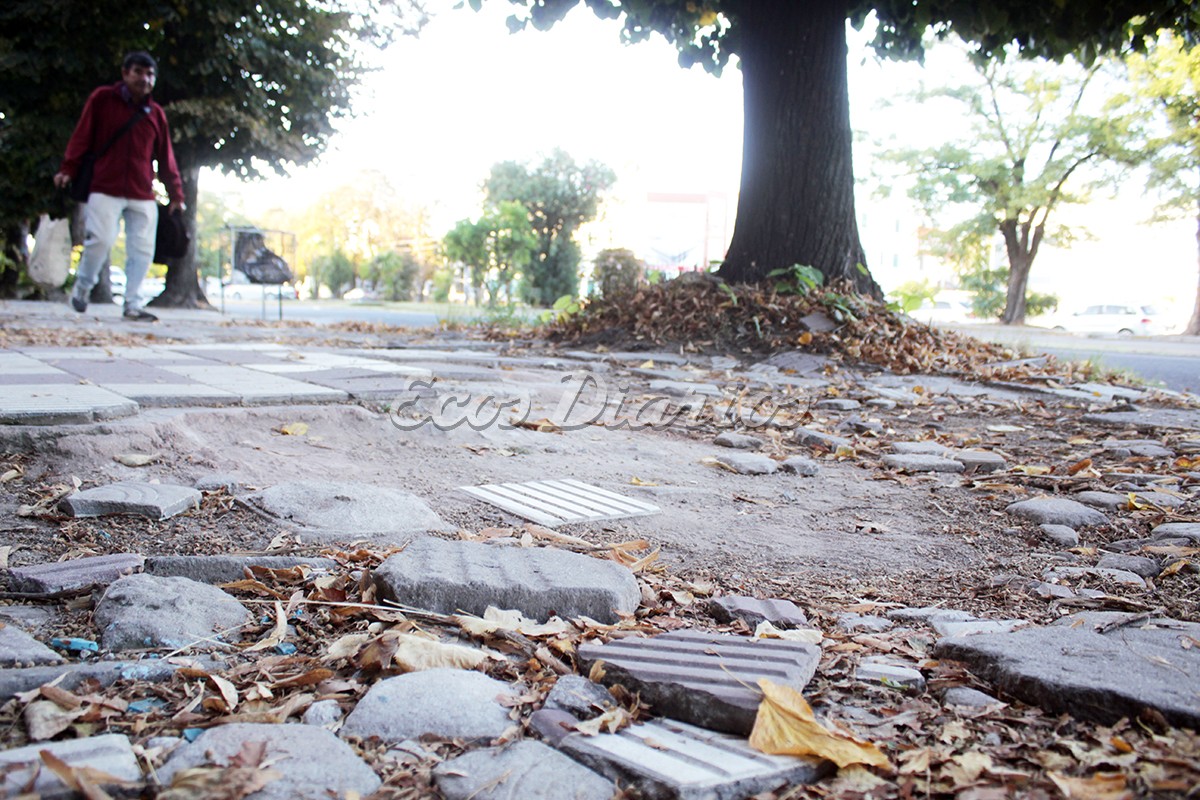 Responsabilidad vecinal: se agudiza mal estado en veredas – Ecos ...