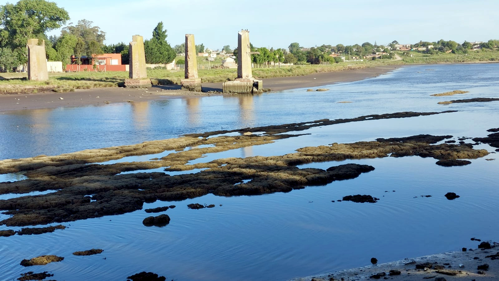 Ecos Diarios Necochea | El único diario de la ciudad.